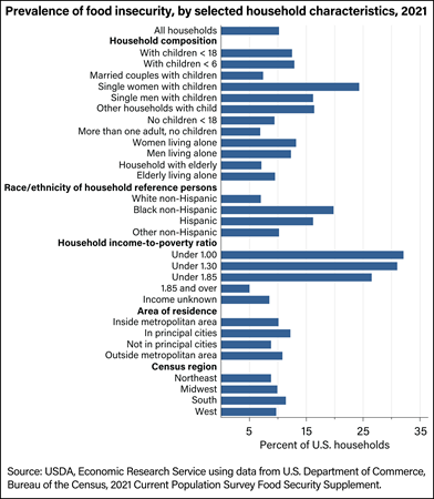 Fighting food insecurity through urban farming - The New Lede