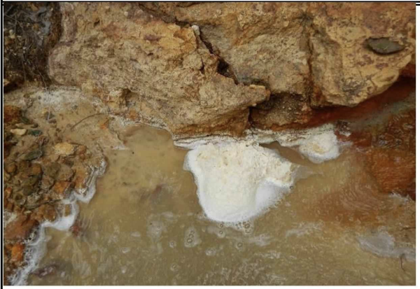 Worries in wine country: Napa Valley wrestles with chemical ...