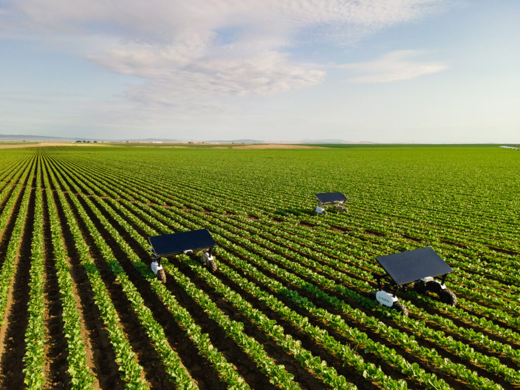 In bid to slash chemical use, robots take on farm fields - The New Lede