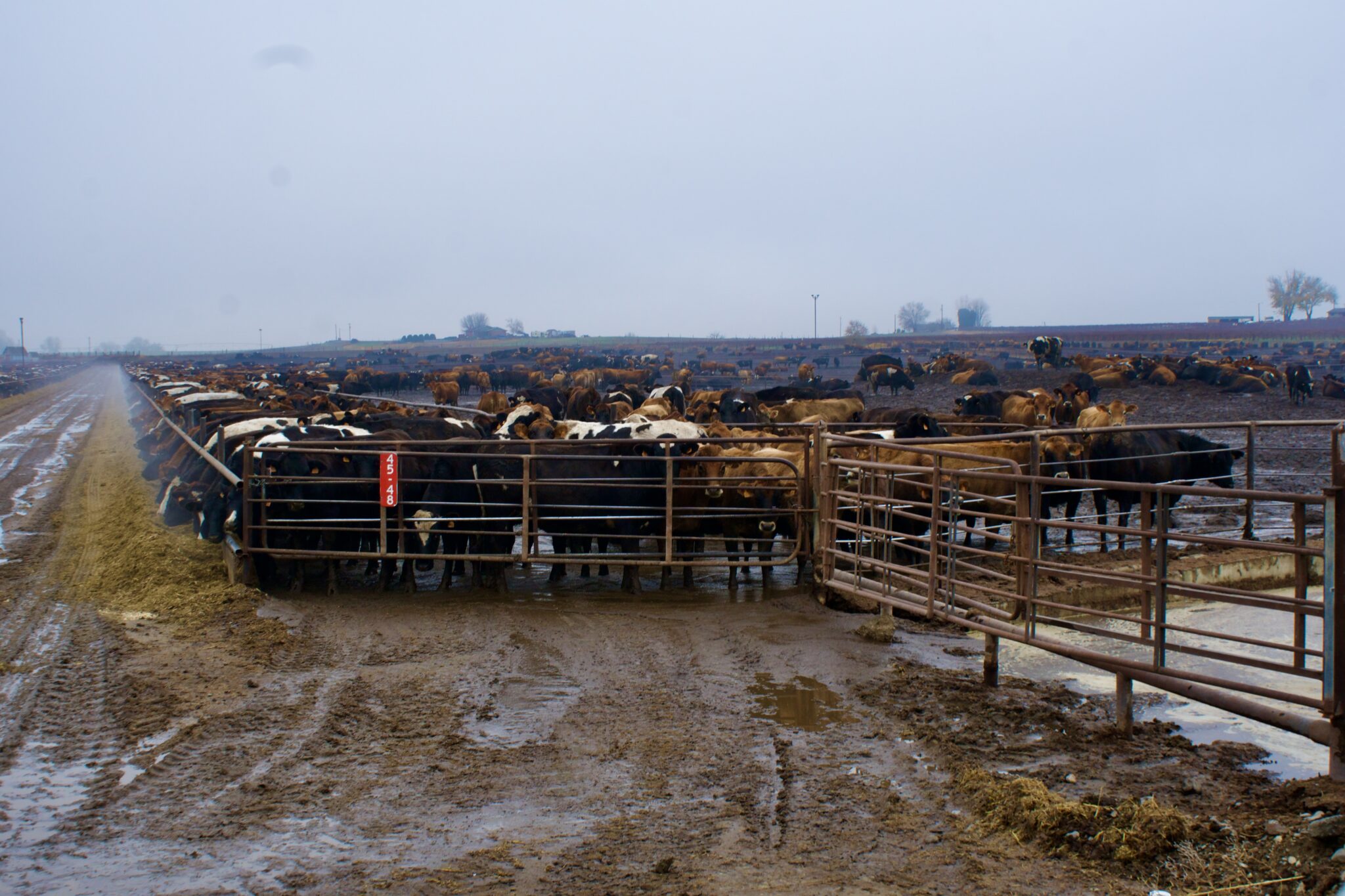 Regulators battle Oregon and Washington farmers over limits to farm ...